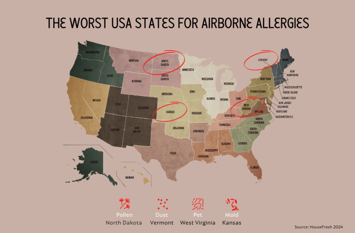 The USA’s top airborne allergy hotspots – best and worst